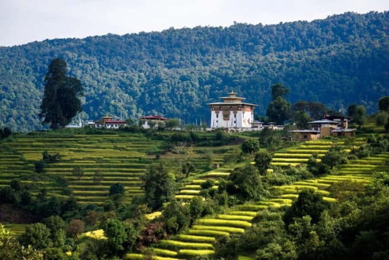 From Thimphu - Enchanting Bhutan tour with Guide 5 days Tour - Who Should Consider This Tour?