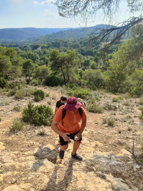 From Tholonet to the Bibémus quarries: Cézanne Hike - From Tholonet to the Bibémus Quarries: Cézanne Hike – A Walk Through Art and Nature
