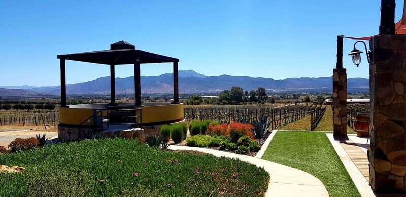 From Tijuana: Valle de Guadalupe Private Winery Tour - Overview of the Tour Experience