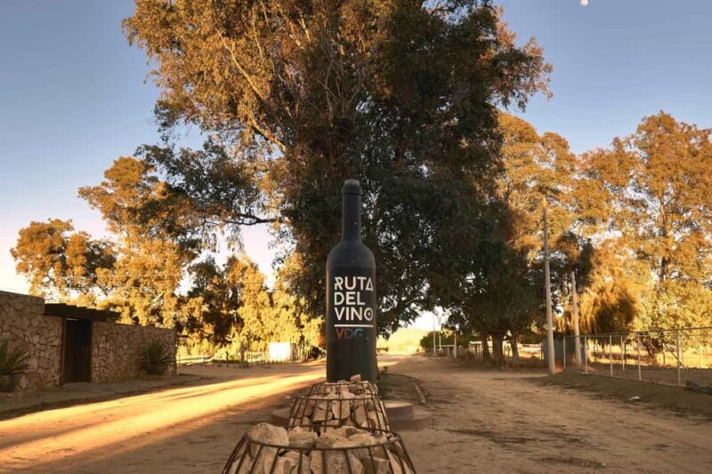 From Tijuana: Valle de Guadalupe Shared Winery Tour - FAQs