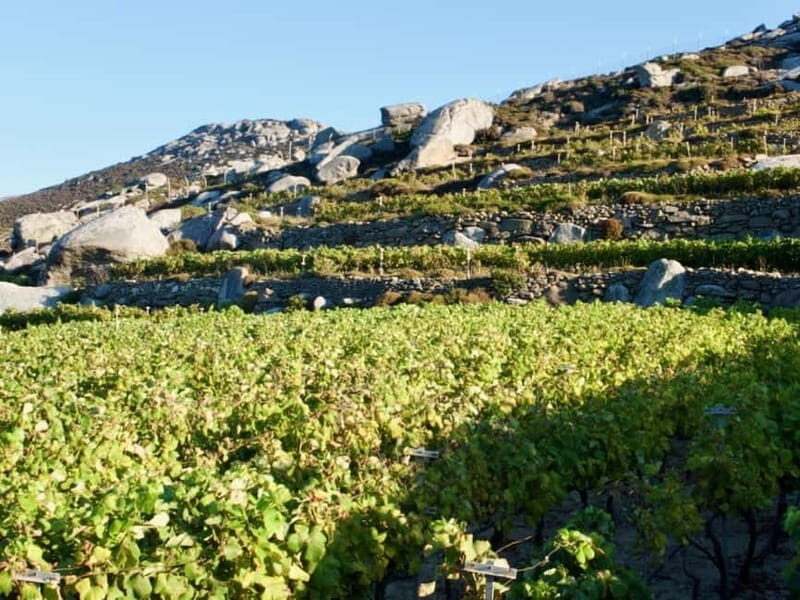 From Tinos: Stemnitsa Winery Tour with Tasting - Key Points