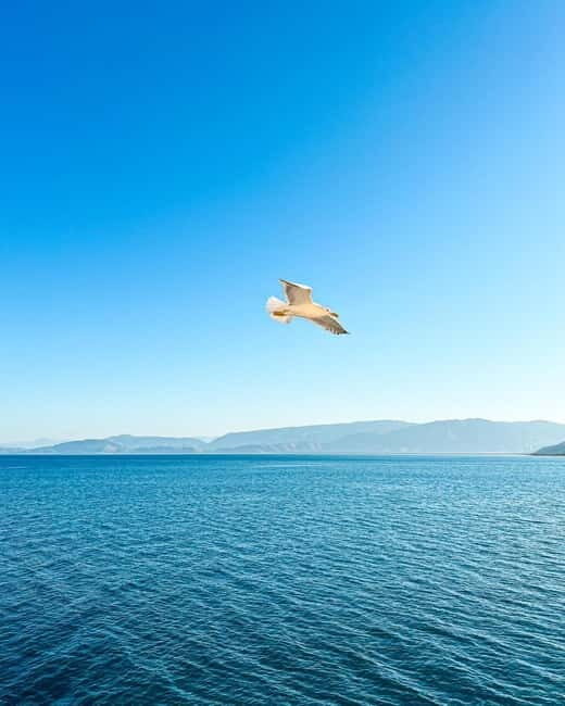 From Tirana: 2-Day Albanian Riviera & Dhermi Guided Tour - A Closer Look at the 2-Day Albanian Riviera & Dhermi Tour