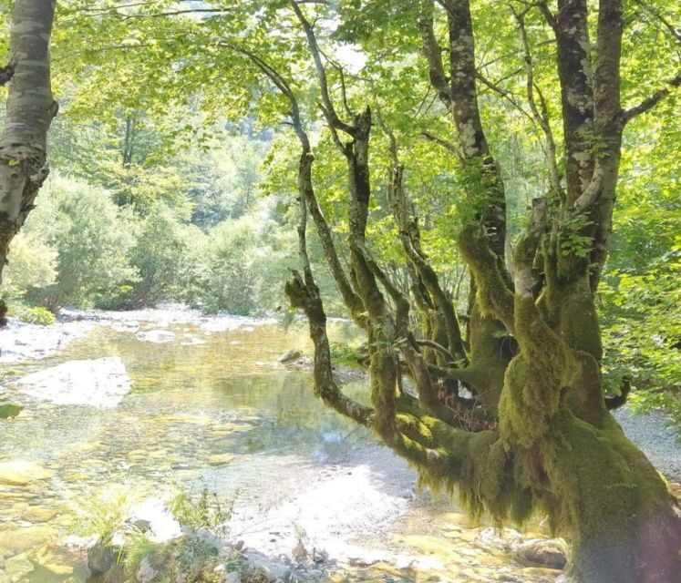 From Tirana: 2-Day Private Tour of Theth and Shkoder - Final Thoughts