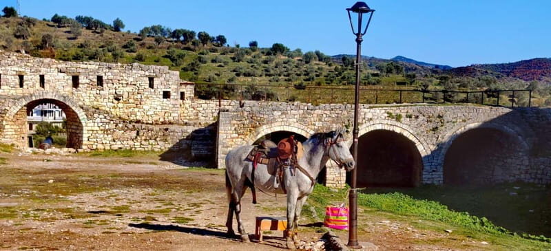 From Tirana: Berat City UNESCO Heritage and Belshi Lake Tour - Key Points