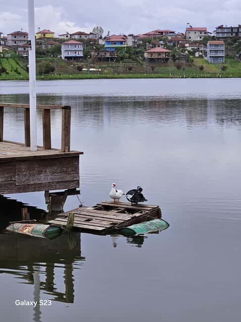 From Tirana: Berat Day Trip with Belshi Lake - The Sum Up