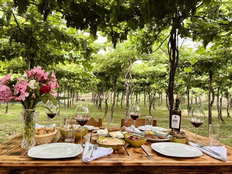 From Tirana: Berat UNESCO Heritage with Wine Tasting - Who Will Love This Tour?