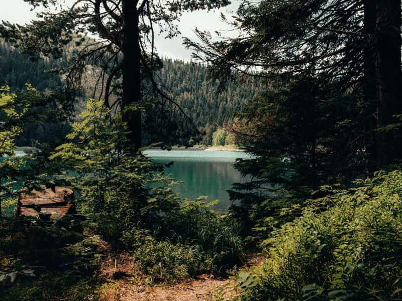 From Tirana: Bosnia, Montenegro & Albania 4-Day Guided Tour - Scenic Drive to Durmitor National Park