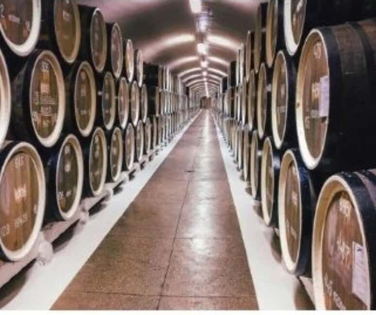 From Tirana: Cape of Rodon Castle, Beach & Wine Tasting Tour - Final Thoughts