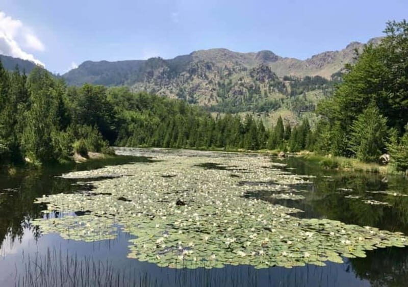 From Tirana: Dibër County Day Trip with Breakfast and Lunch - Who Should Consider This Tour?