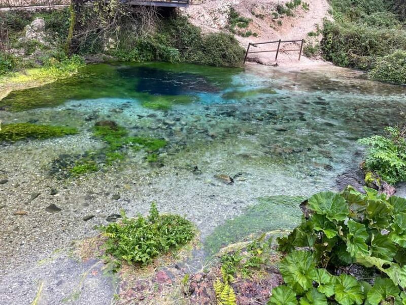 From Tirana/Durrës: Blue Eye, Ksamil and Gjirokastra Tour - The Value of the Experience