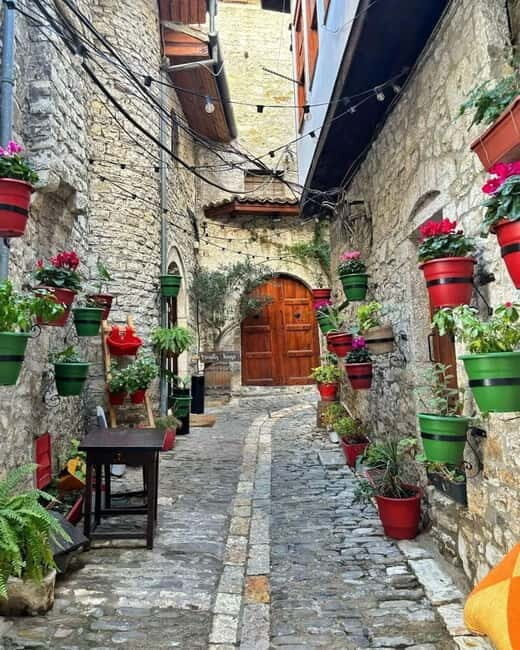 From Tirana/Durres/Golem: Berat (UNESCO) & Belshi Lake tour. - Authenticity and Guide Quality