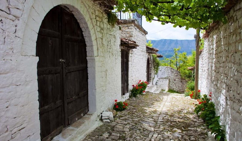From Tirana & Durres: Group Tour of Apollonia Berat & Durres - An In-Depth Look at the Tour Experience