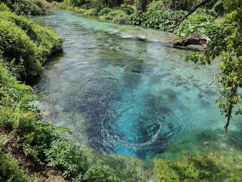 From Tirana/Durrës: Saranda, Ksamil, and Blue Eye Tour - Who Will Love This Tour?