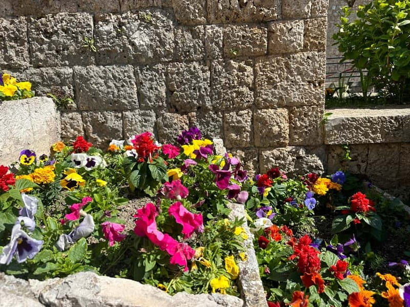From Tirana: Kruja Castle, Old Bazaar & Sari Salltik Tour - Final Thoughts