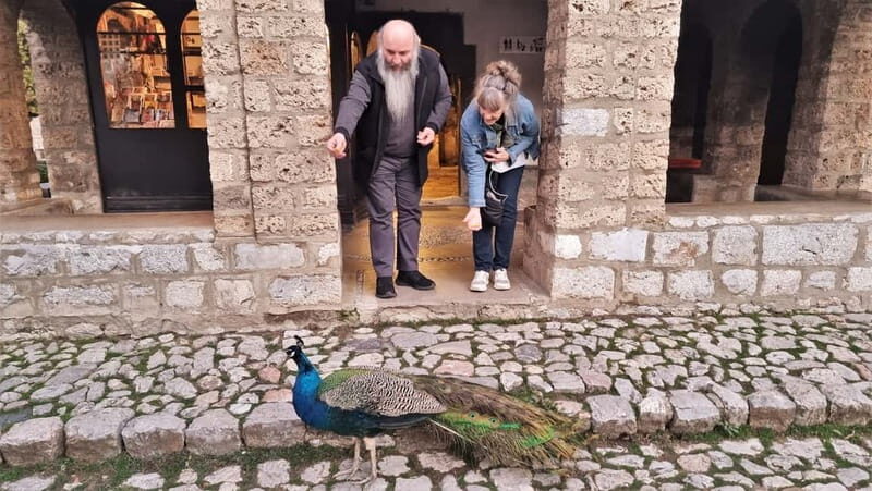 From Tirana: North Macedonia, Lake Ohrid and Saint Naum Tour - Who is This Tour Perfect For?