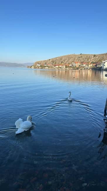 From Tirana: Ohrid Lake, Drilon, Lin, Pogradec With Lunch - FAQs