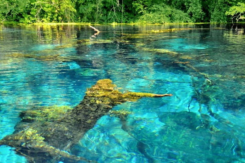 From Tirana: Saranda, Blue Eye, Ksamil Islands Boat Tour - Practical Details and Experience