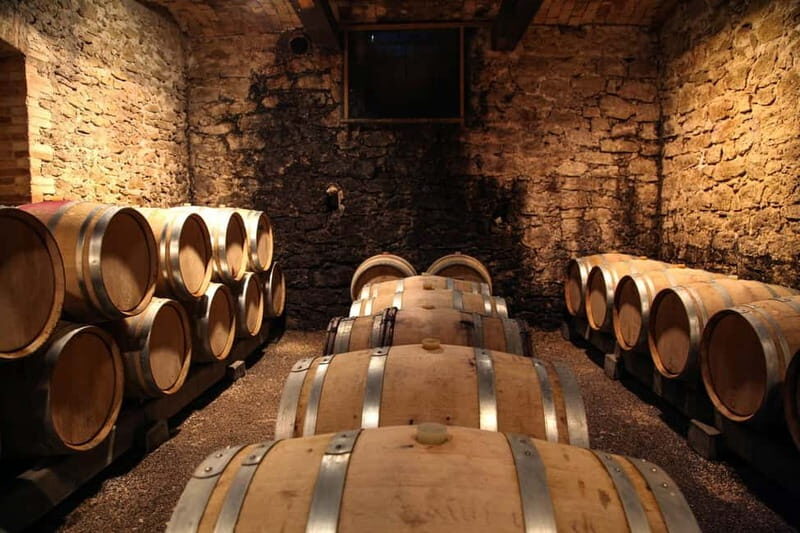 From Tirana: Wine Tasting & Durres Small Group Tour - Key Points