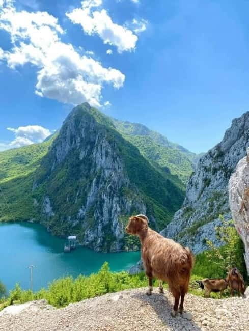 From Tirane To Bovilla Lake & Gamti Mountain SUNNSET TIME - Why This Tour Is Worth Considering