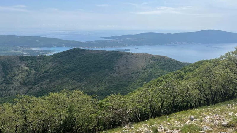 From Tivat: Vrmac Hill Scenic Hike above Boka Bay - Final Thoughts