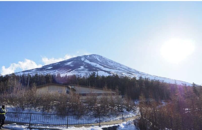 From Tokoyo - Mount FUJI Classic Highlight Joiner Day Tour - Who Should Consider This Tour?