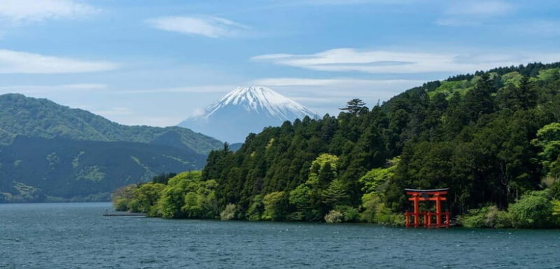 From Tokyo: 1 Full Day Mount fuji Sightseeing Trip - Who Should Consider This Tour?