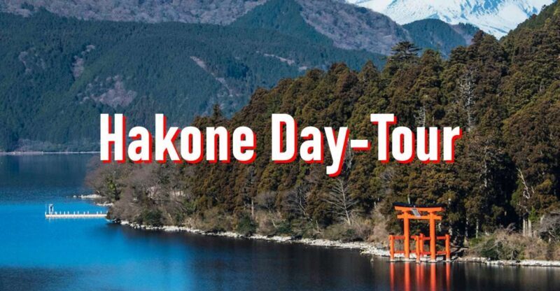 From Tokyo: 10-hour Hakone Private Custom Tour - Practical Details and Tips