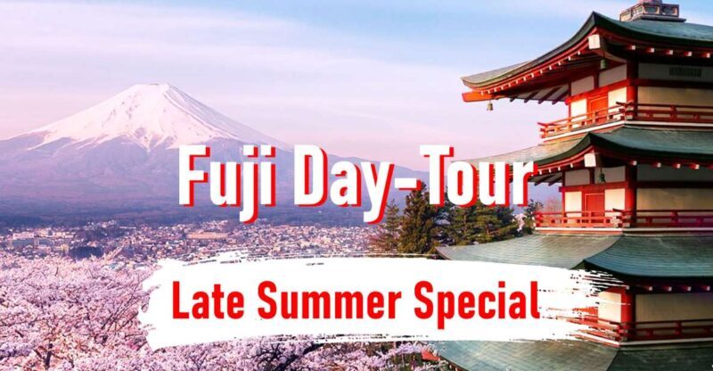 From Tokyo: 10-hour Mount Fuji Private Customizable Tour - What You’ll Love About This Tour