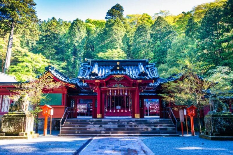 From Tokyo: 10-hour Mt.Fuji&Hakone Private Day Tour - The Sum Up