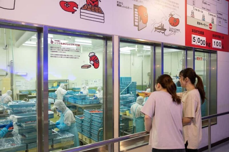 From Tokyo: Ashikaga Flower Park and Hitachi Park Tour - From Tokyo: Ashikaga Flower Park and Hitachi Park Tour – A Practical Guide to Japan’s Spring Blossoms