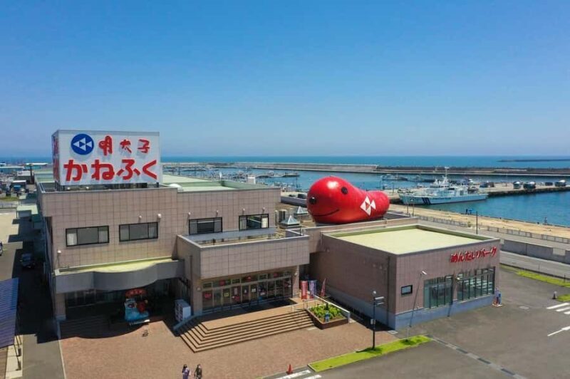 From Tokyo: Ashikaga Flower Park and Hitachi Park Tour - FAQs