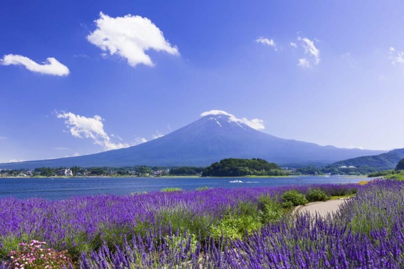 From Tokyo: Fuji Mountain Area - FujiQ - Lake Kawaguchiko - Chureito Pagoda - Key Points