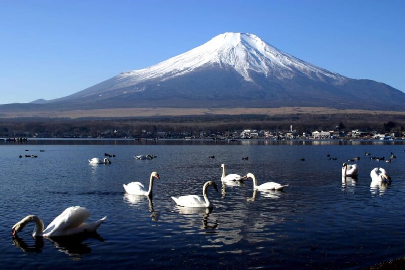 From Tokyo: Fuji Mountain Area - FujiQ - Lake Kawaguchiko - Chureito Pagoda - Final Thoughts: Why Choose This Tour?