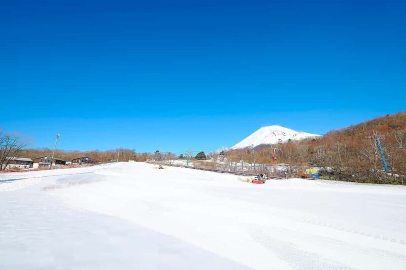 From Tokyo : Fujiyama Snow Resort Yeti Day Tour - Key Points