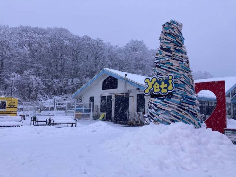 From Tokyo : Fujiyama Snow Resort Yeti Day Tour - The Itinerary: What To Expect