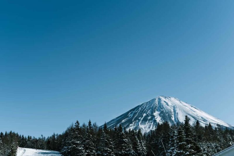 From Tokyo: Fujiyama Snow Resort Yeti Winter Ski Day Tour - Key Points