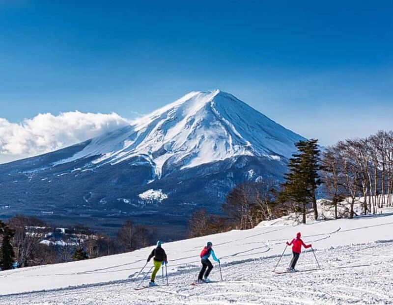 From Tokyo: Fujiyama Snow Resort Yeti Winter Ski Day Tour - Who Would Enjoy This Tour?