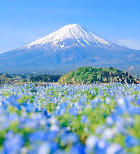 From Tokyo: Hakone and Mount Fuji tour with Transportation - Key Points