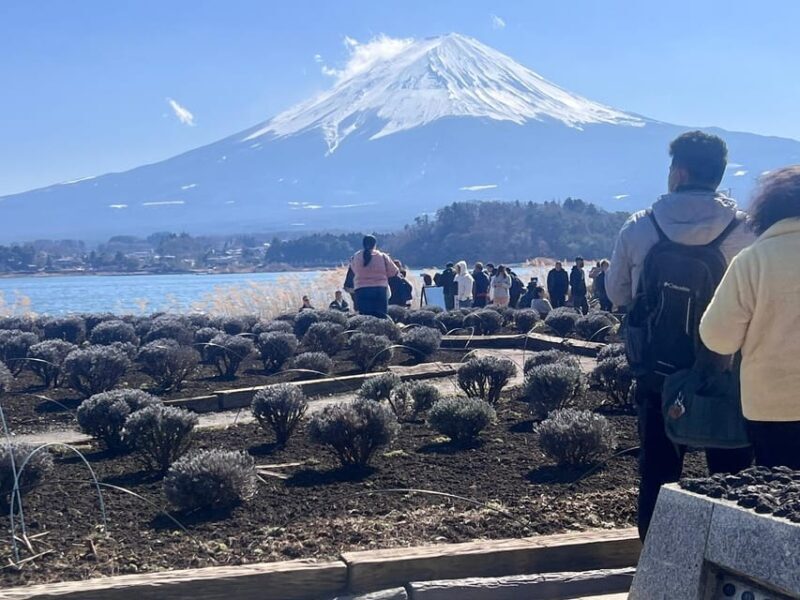 From Tokyo: Hakone and Mount Fuji tour with Transportation - Who Should Consider This Tour?