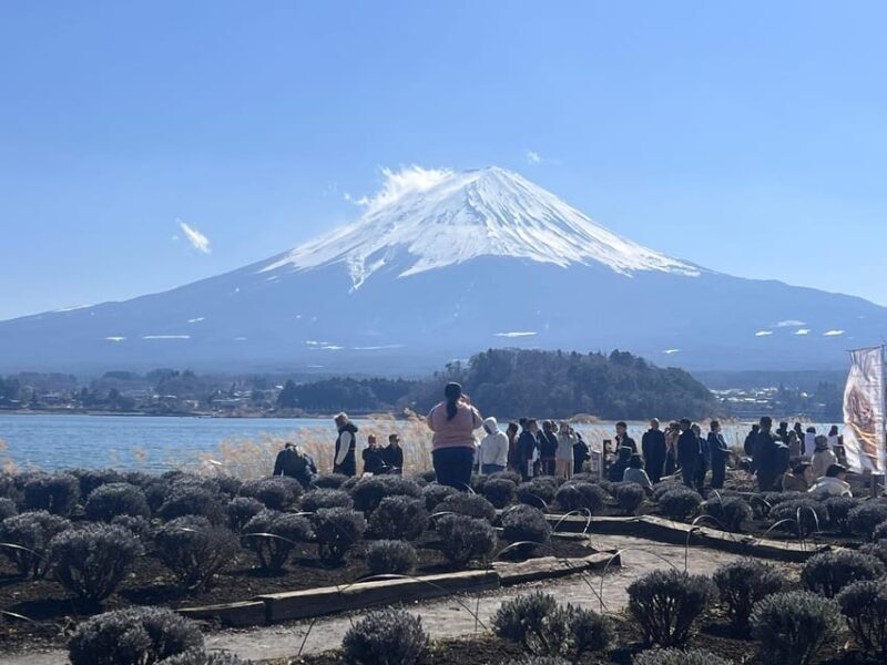 From Tokyo: Hakone and Mount Fuji tour with Transportation - The Sum Up: The Best of Japan in One Day