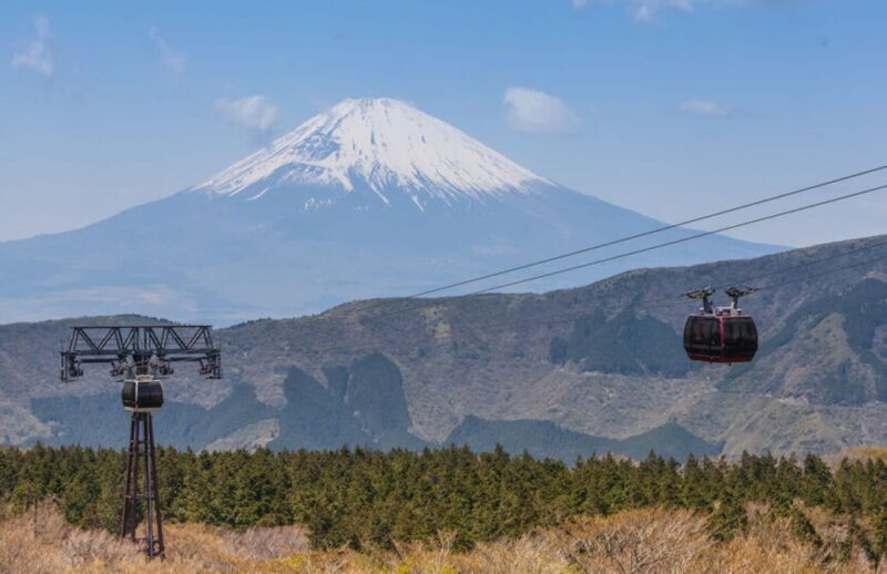 From Tokyo: Hakone and Owakudani Private Day Trip - FAQs