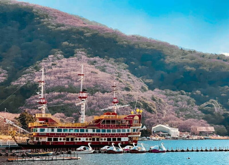 From Tokyo: Hakone Day Trip with English Speaking Driver - The Realities of the Experience