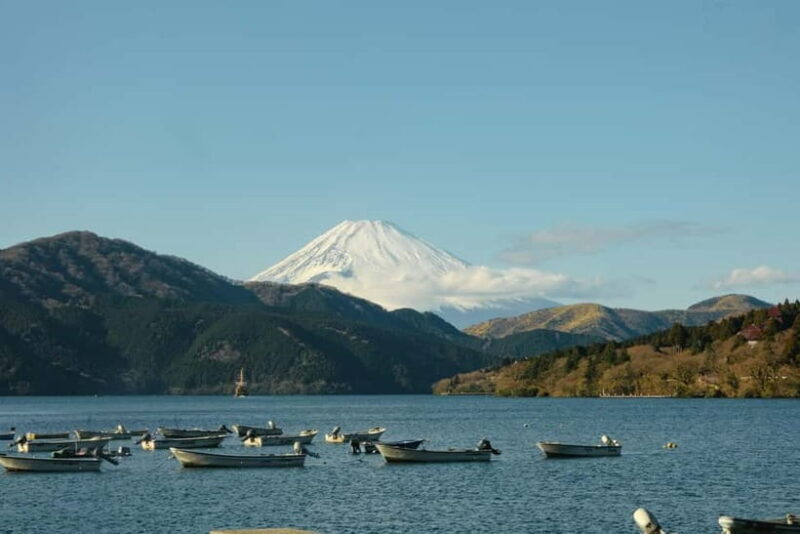 From Tokyo: Hakone Day Trip with English Speaking Driver - Transport & Timing: Why They Matter