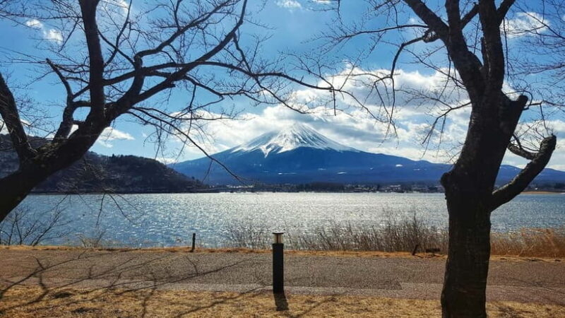 From Tokyo: Hakone Day Trip with English Speaking Driver - Who Will Love This Tour?