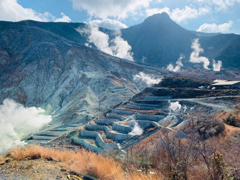 From Tokyo: Hakone Day Trip with English Speaking Driver - FAQ