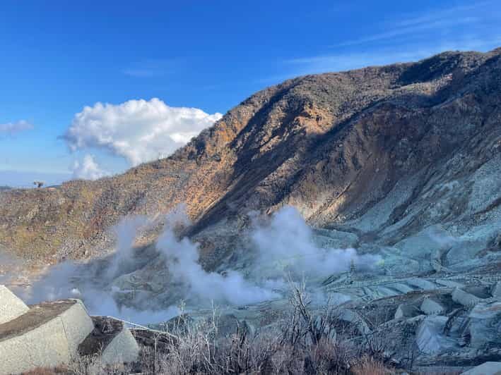 From Tokyo: Hakone Full Day Customizable Private Tour - Key Points