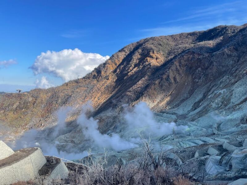 From Tokyo: Hakone Full Day Customizable Private Tour - Authentic Experiences and Scenic Highlights