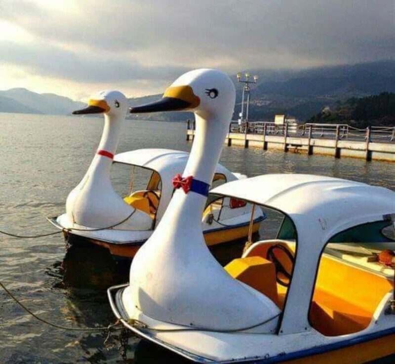 From Tokyo: Hakone Private Tour with English-Speaking Guide - Key Points