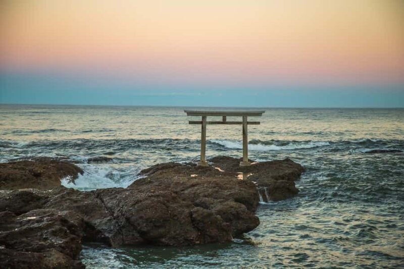 From Tokyo: Hitachi Seaside Park, Sea Torii & Great Buddha - An Introduction to This Day Trip from Tokyo