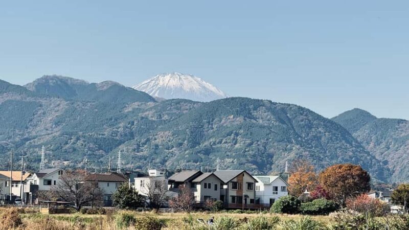 From Tokyo: Kaisei Tea Leaf Picking & Farm-to-Table Lunch - What Makes This Tour Special?